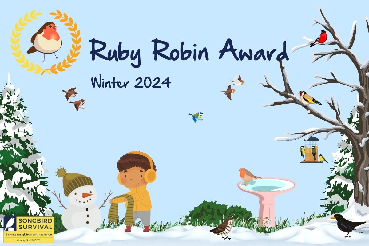 RUBY ROBIN AWARD 2024!